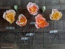Make These Gorgeous Tissue Paper Poppies