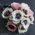 DIY Tissue Paper Anemone + Tutorial - Lia Griffith