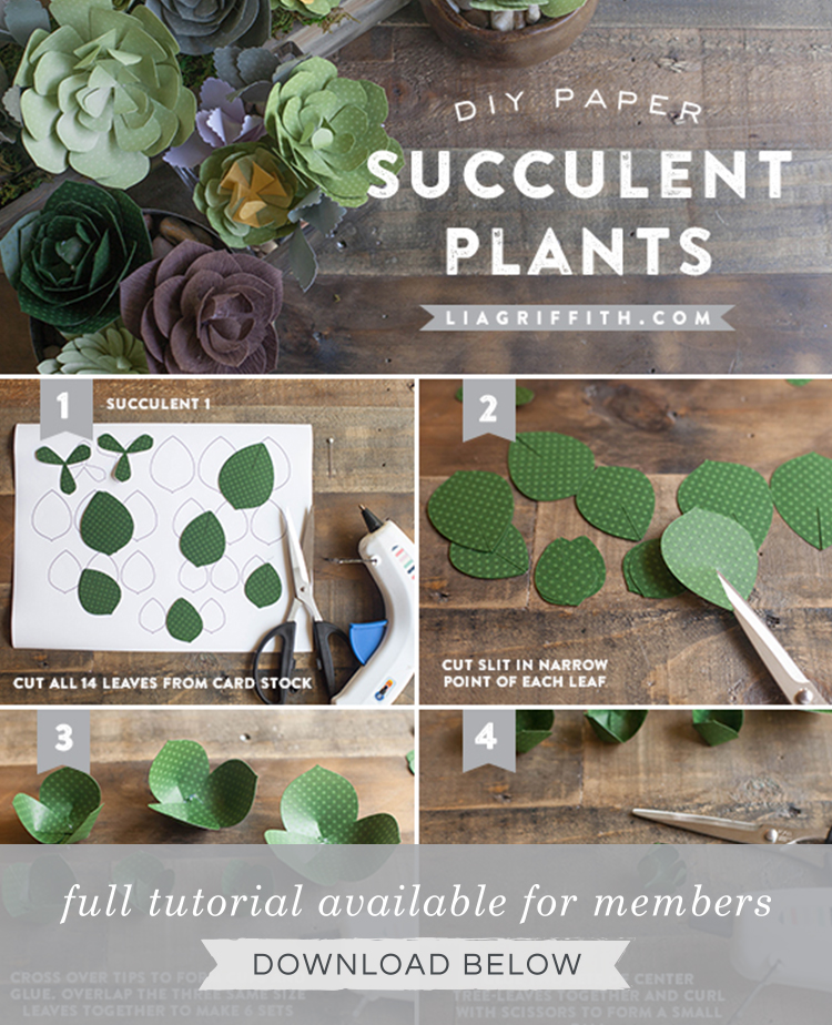 Patterns and Tutorial for Simple Paper Succulents