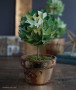 DIY Paper Ivy Topiary Plant - Learn How To Make With Ease!
