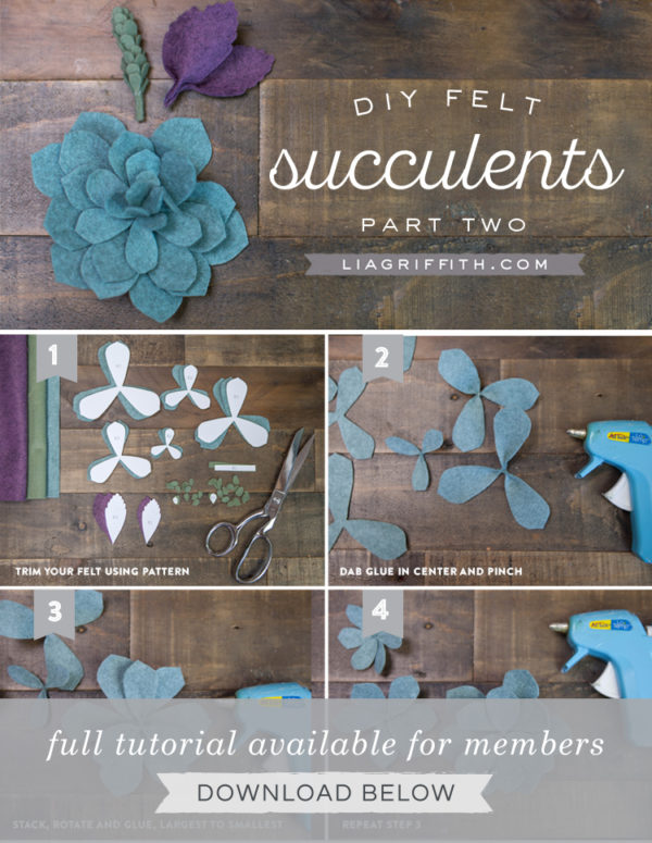 Felt Succulent Tutorial - Part 2 - Lia Griffith