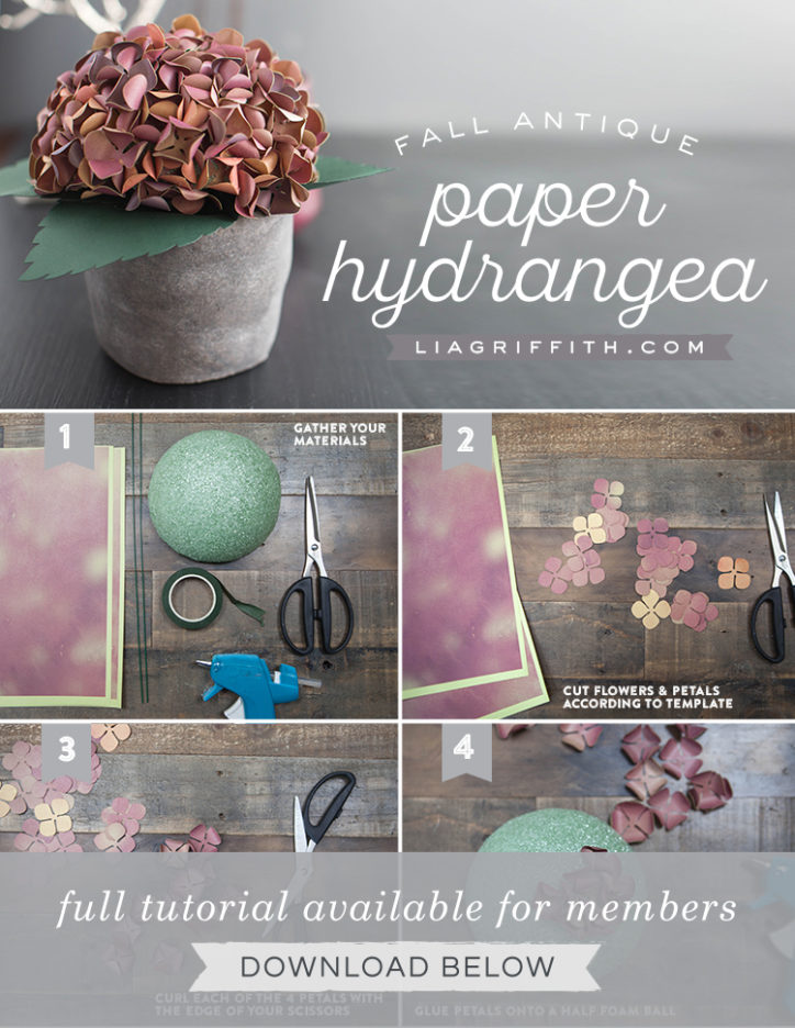 Make an Antique Paper Hydrangea for Falll - Lia Griffith