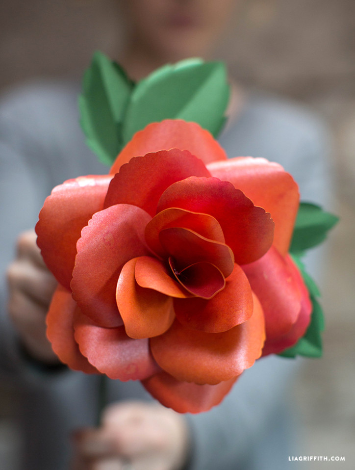DIY Paper Garden Rose - Lia Griffith