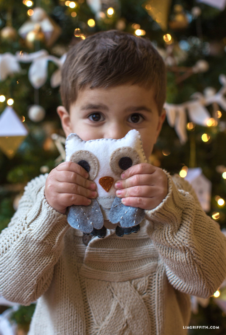 Felt Owl Stuffie (an Easy Craft for Adults & Kids!) - Lia Griffith