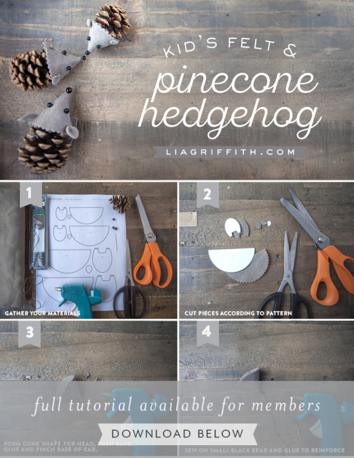 Felt Pinecone Hedgehog - Lia Griffith