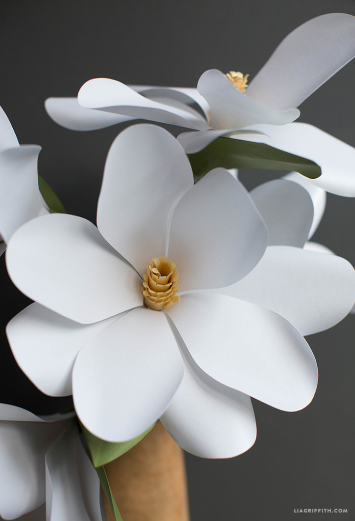 Frosted Paper Magnolia Flower - Lia Griffith