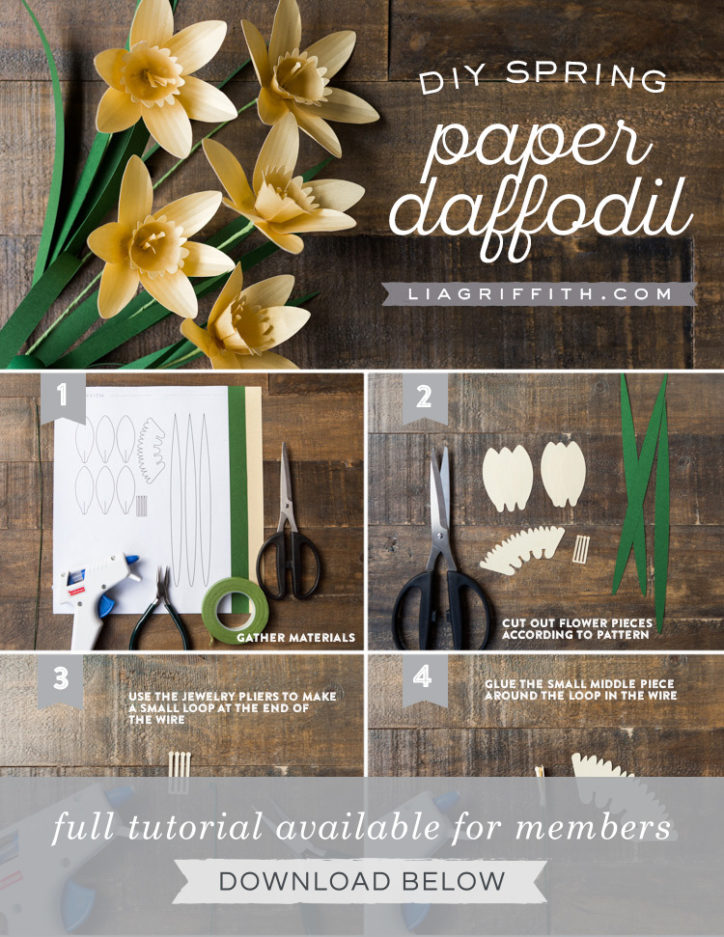 Simple Paper Flower Daffodil Pattern and Tutorial - Lia Griffith