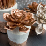 Copper Succulents in DIY Concrete Planters - Lia Griffith