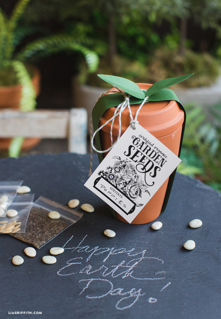 Seed Packet Earth Day Craft - Lia Griffith