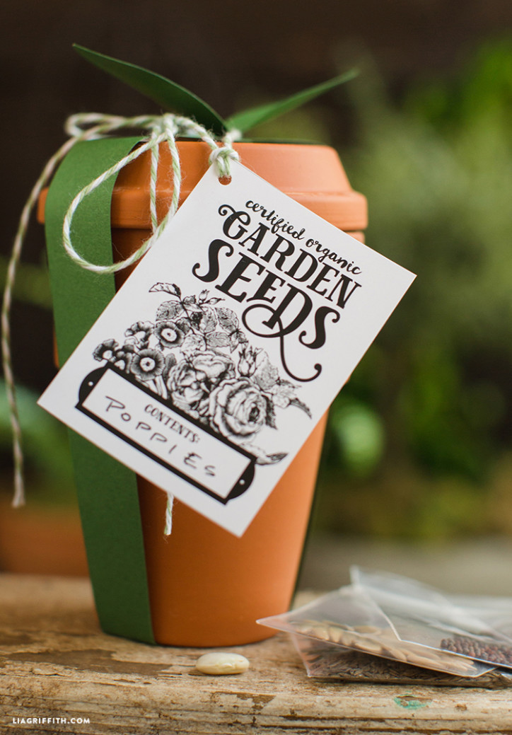 Seed Packet Earth Day Craft - Lia Griffith