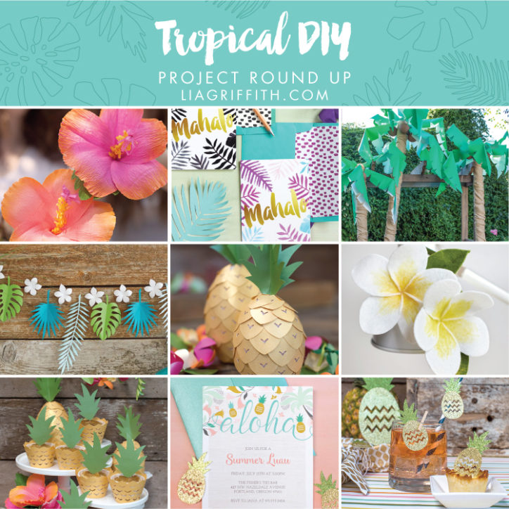 Tropical DIY Projects for Home or Party Decor - Lia Griffith