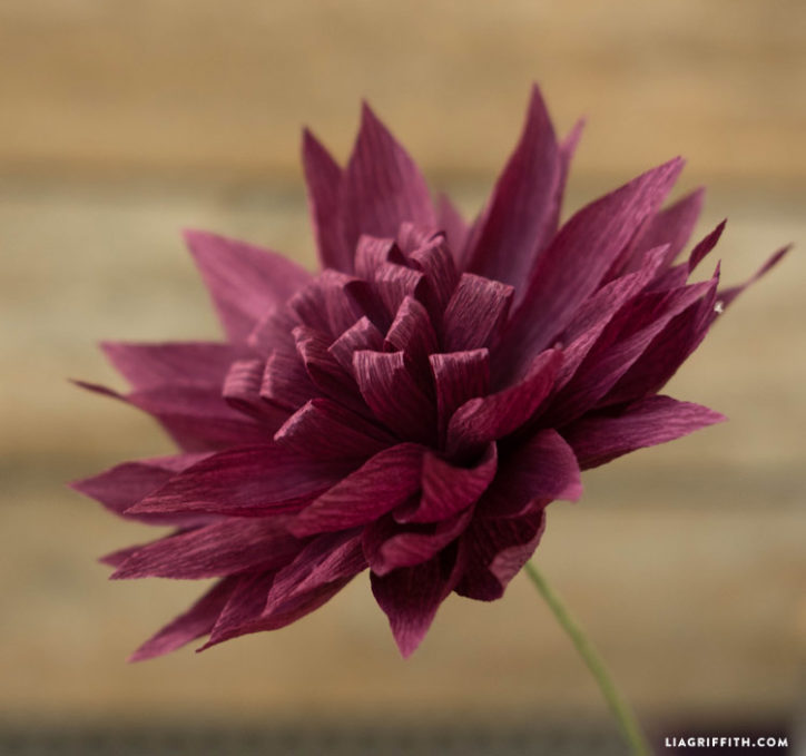 Kid's Extra-Fine Crepe Paper Mums - Lia Griffith