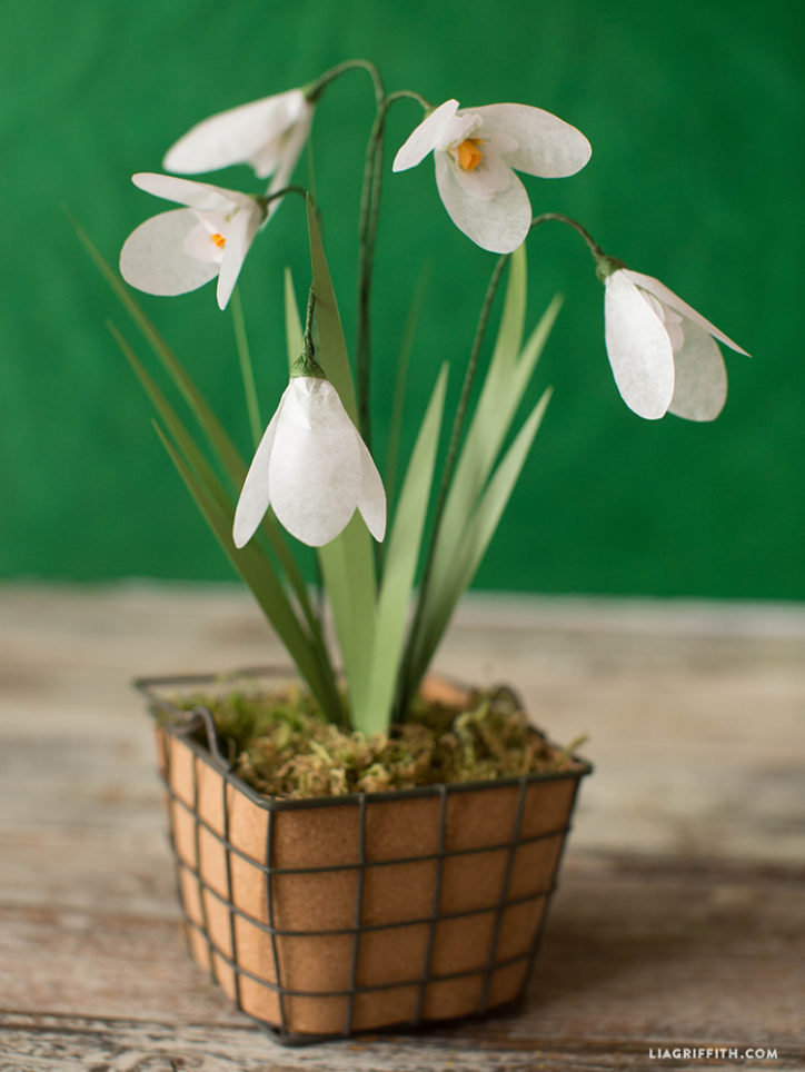Tissue Paper Snowdrops for a Gorgeous Winter Flower DIY