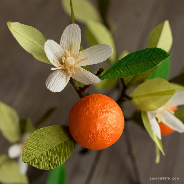 Make a Paper Orange Blossom for Gorgeous Winter Home Decor