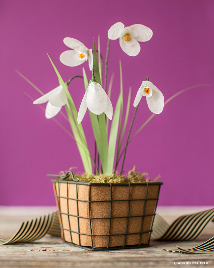 Tissue Paper Snowdrops for a Gorgeous Winter Flower DIY
