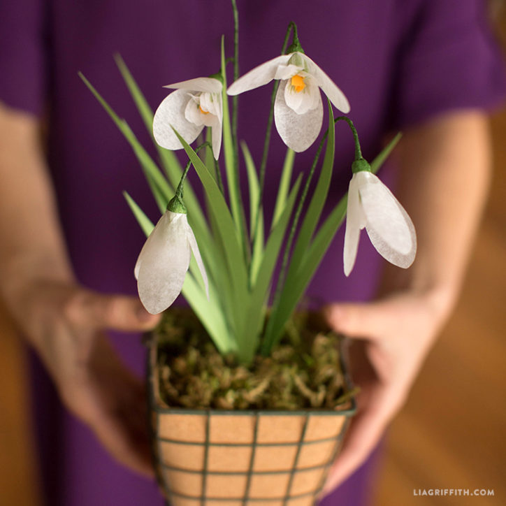 Tissue Paper Snowdrops for a Gorgeous Winter Flower DIY