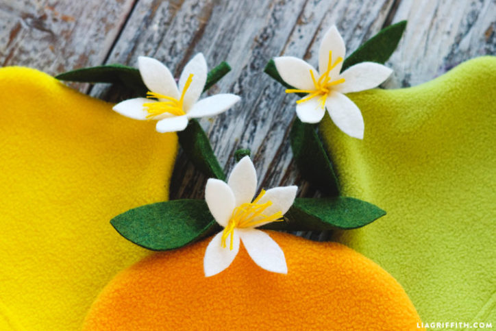 Easy Citrus Themed Baby Hat Pattern