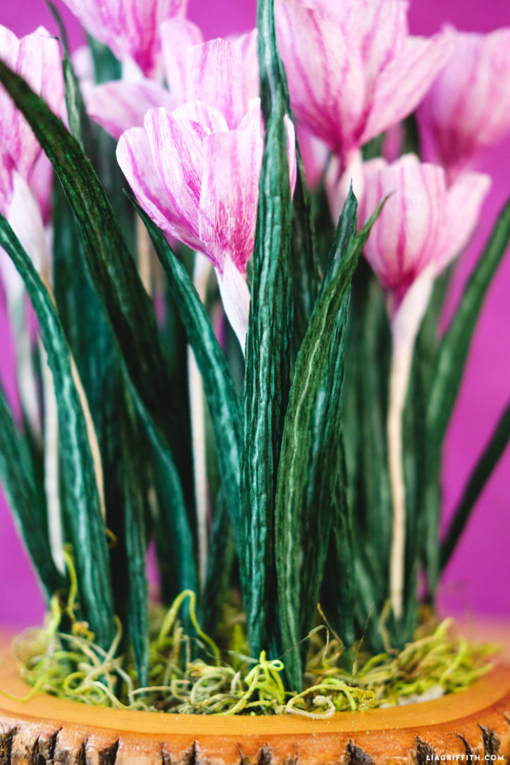 Crepe Paper Crocus DIY Template and Tutorial