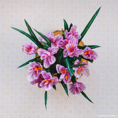 Crepe Paper Crocus DIY Template and Tutorial