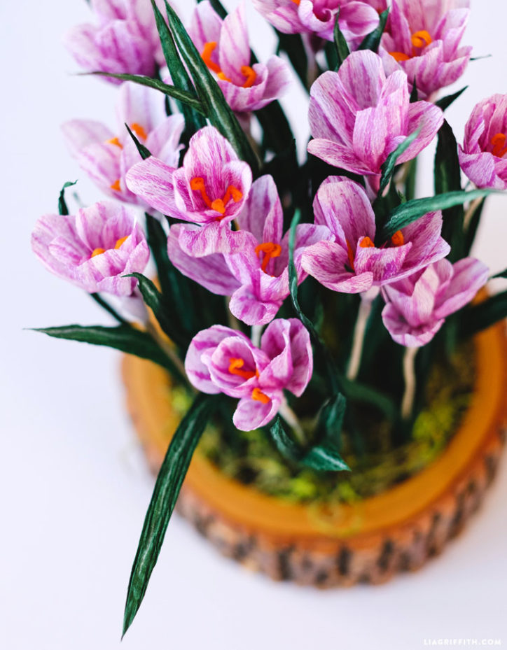 Crepe Paper Crocus DIY Template and Tutorial