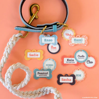 DIY Pet Tags