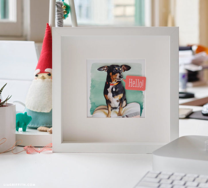 Easy DIY Pet Portrait Project