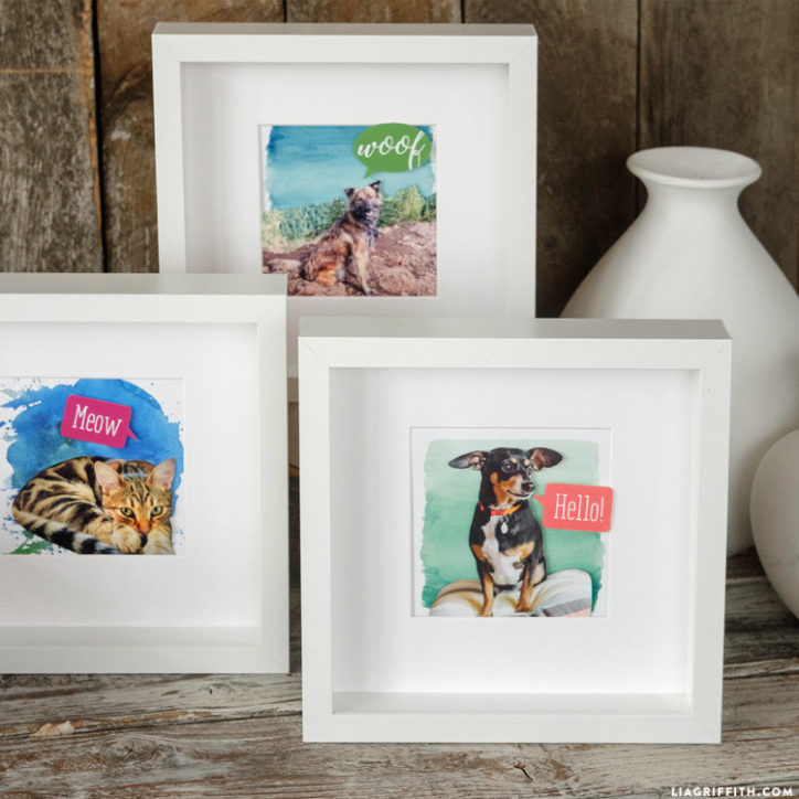 Easy DIY Pet Portrait Project