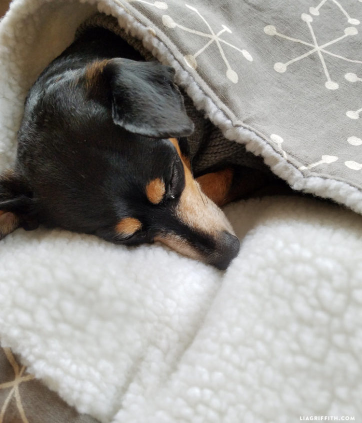 How to Make a DIY Burrow Dog Bed