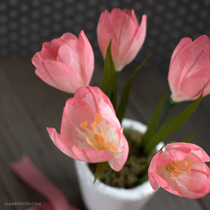 Make Beautiful Crepe Paper Tulips in 9 Easy Steps