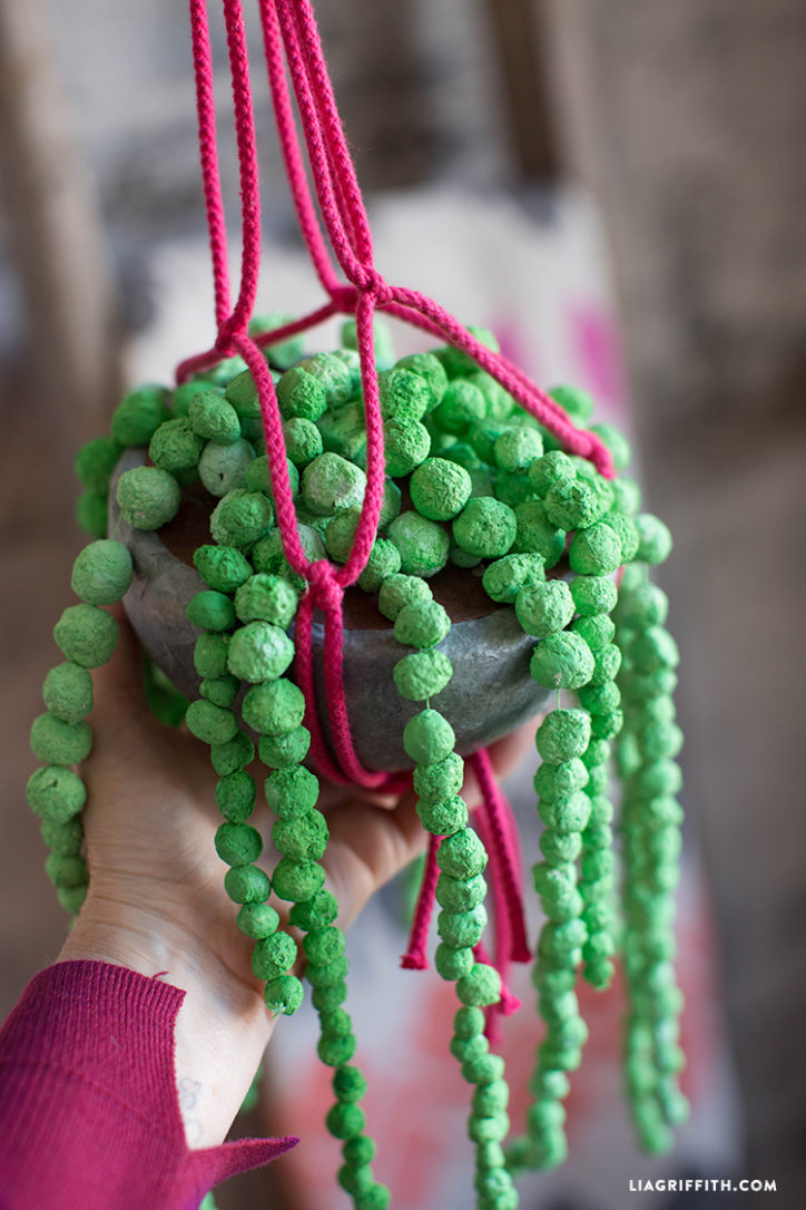 Paper Mache String of Pearls Plant - Lia Griffith