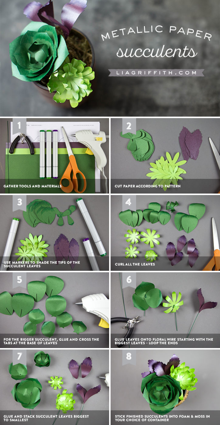 How to Make DIY Paper Succulents