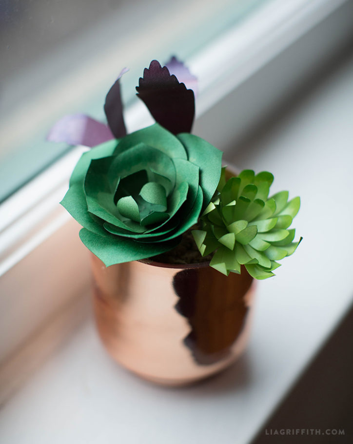 How to Make DIY Paper Succulents