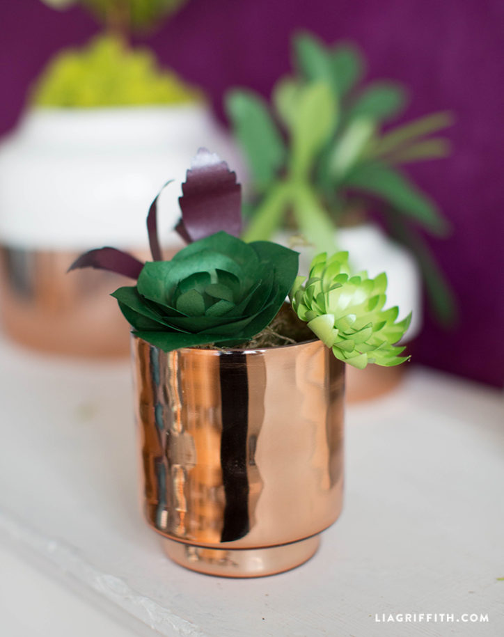 How to Make DIY Paper Succulents