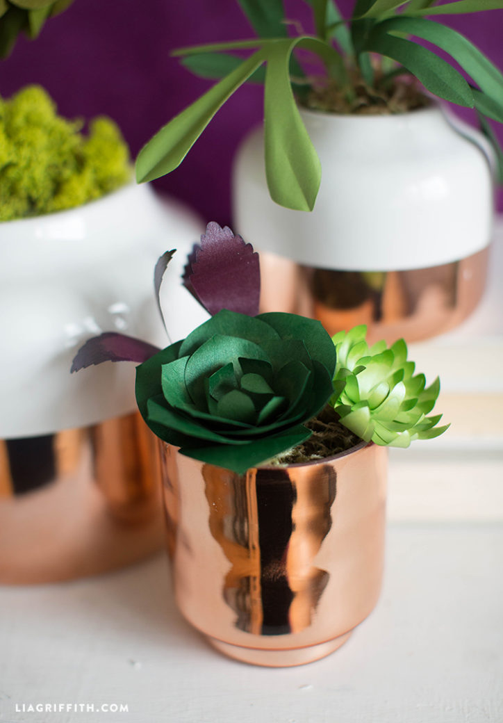 How to Make DIY Paper Succulents
