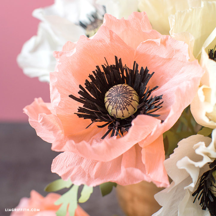 Crepe Paper Poppies (Video Tutorial)