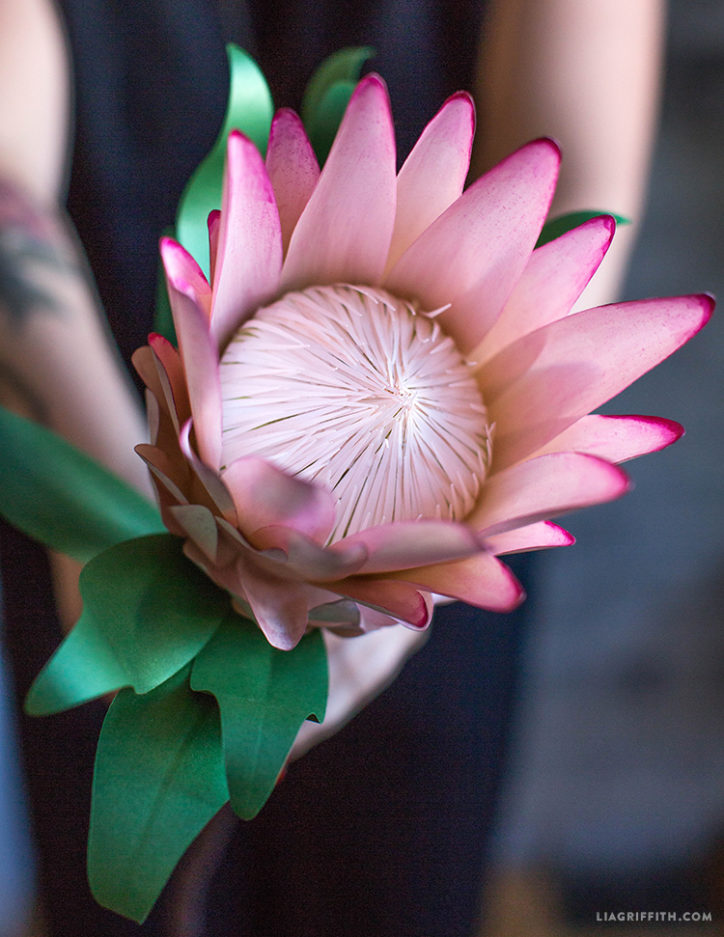 Paper Protea Flower - Lia Griffith