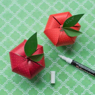 Paper Apples for Back to School - Lia Griffith