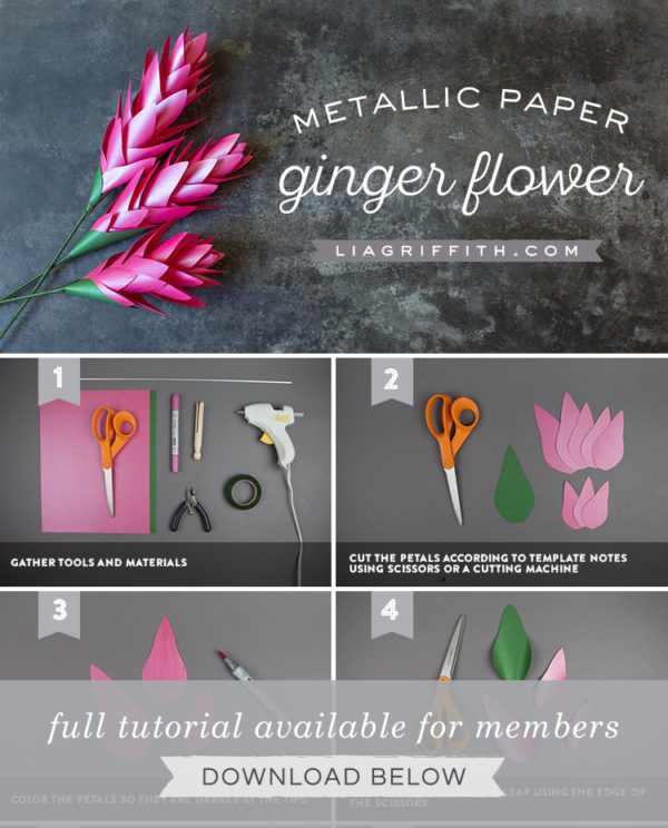 Tropical Paper Ginger Flower - Lia Griffith