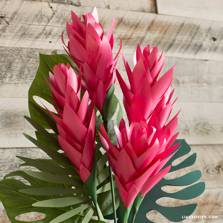 Tropical Paper Ginger Flower - Lia Griffith