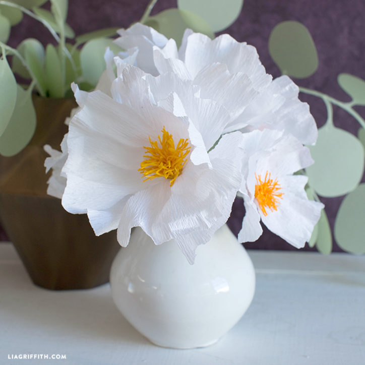 Beginner Crepe Paper Tree Poppy - Lia Griffith