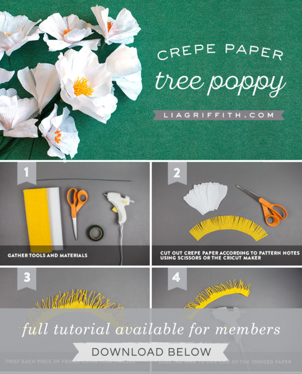Beginner Crepe Paper Tree Poppy - Lia Griffith