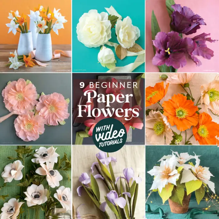 Easy Paper Flowers Step By Step Guide