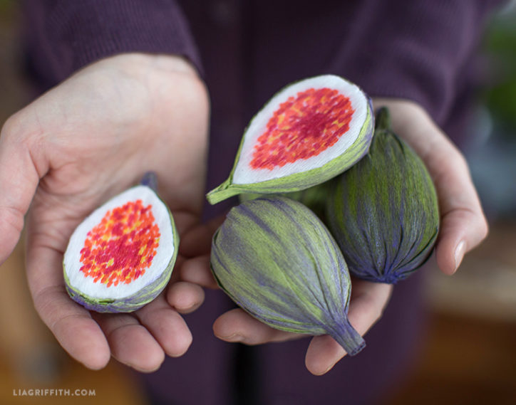 Beginner Crepe Paper Figs - Lia Griffith