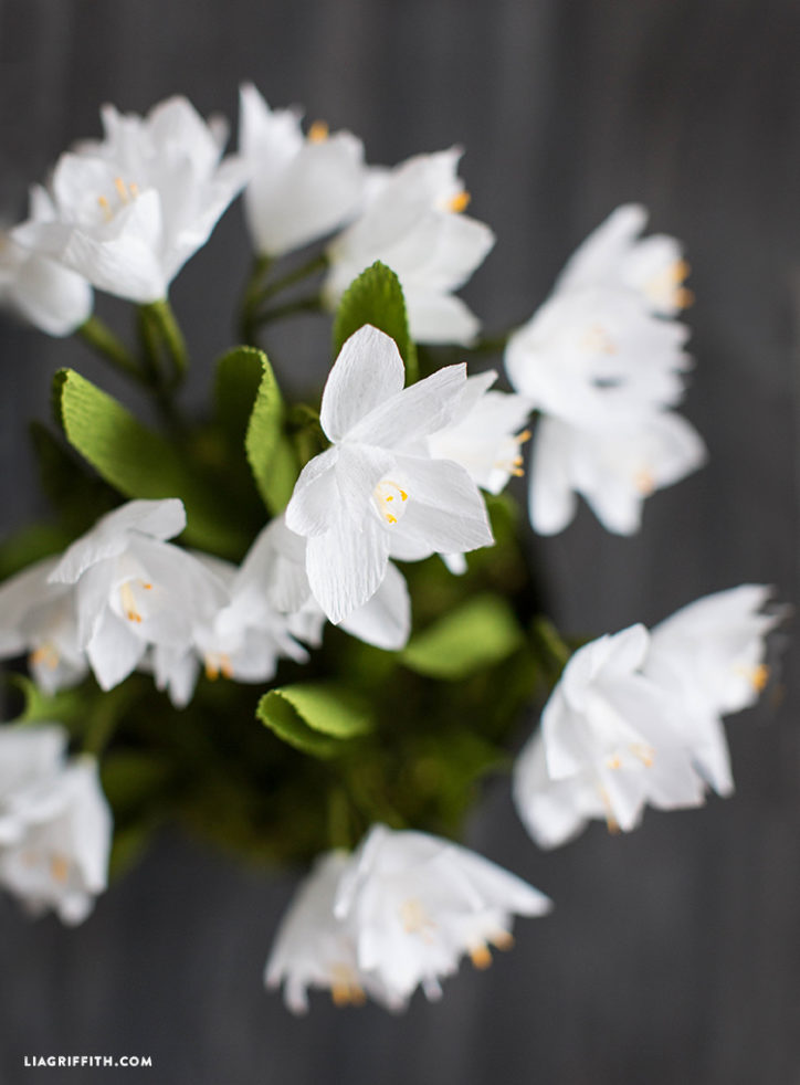 Create an arrangement of pretty potted crepe paper paperwhites