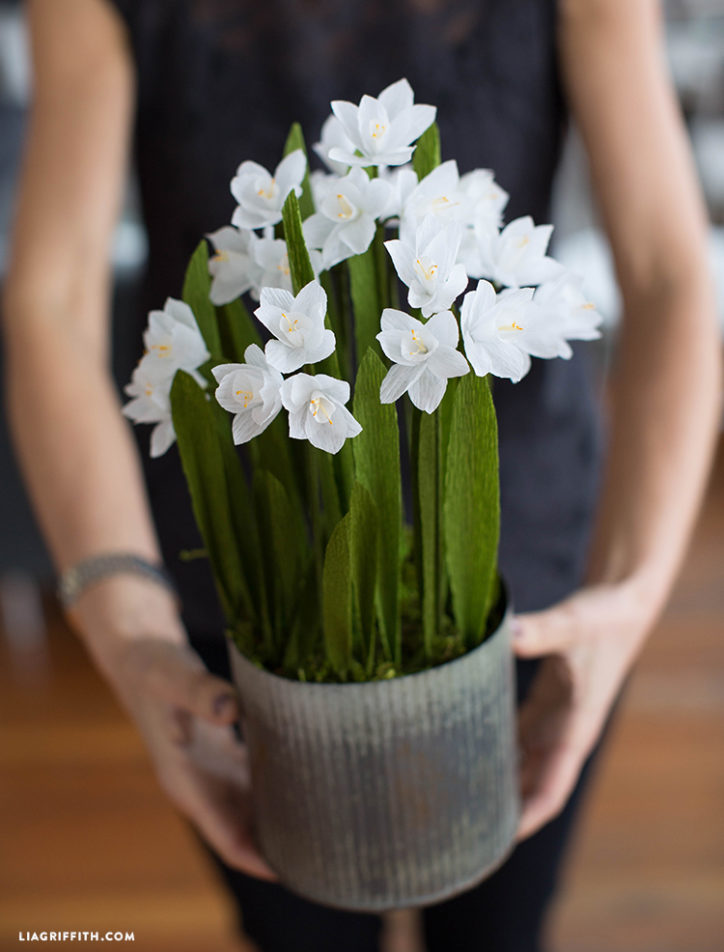 Create an arrangement of pretty potted crepe paper paperwhites