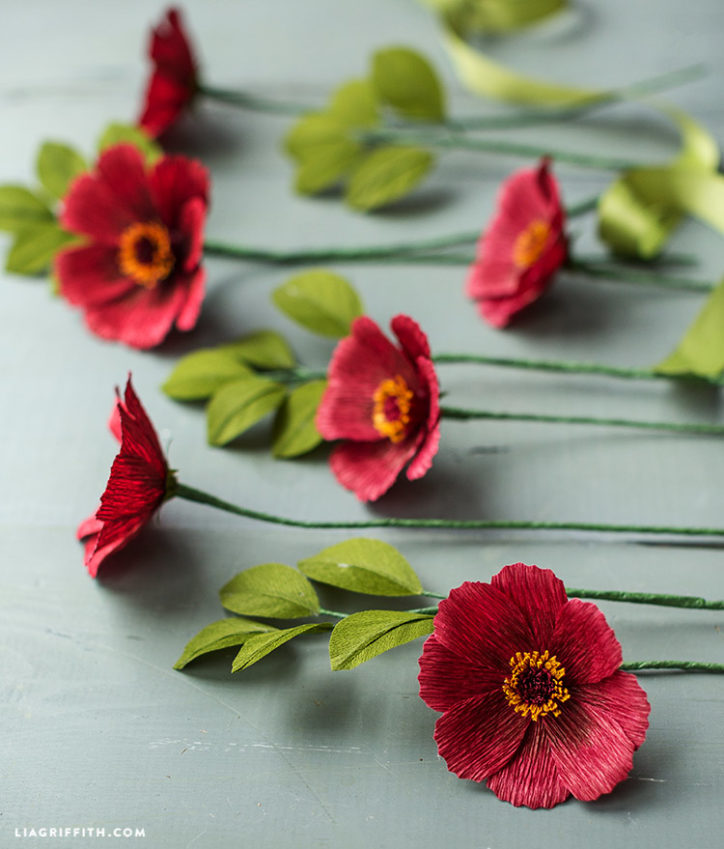 Learn how to make advanced crepe paper chocolate cosmos