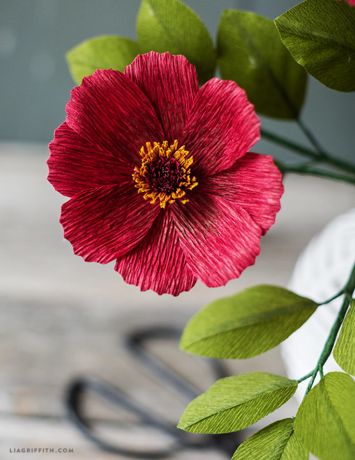 Learn how to make advanced crepe paper chocolate cosmos