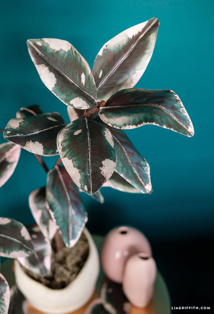 Create a printable Ruby Rubber Plant for your home