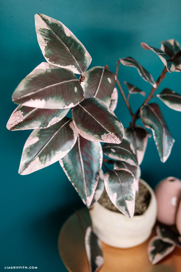 Create a printable Ruby Rubber Plant for your home