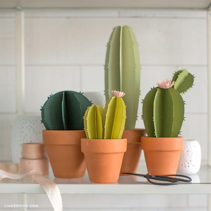 DIY Paper Cacti Plants in Terracotta Pots - Lia Griffith